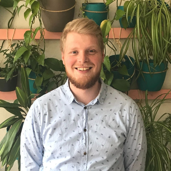 Coding Bear | StartupJobs.cz